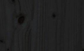 vidaXL Lavice s botníkem 160x36,5x50 cm masivní borovice [821728] Barva: Přírodní