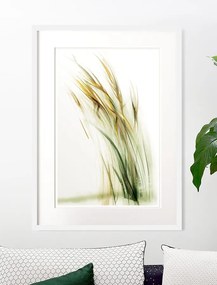 Elegantní grafika s trávami do moderních interiérů Trávy, Prchavá Série | Anna Borkowska