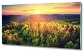 Wallmuralia Fotoobraz na skle Les západ slunce 100x50