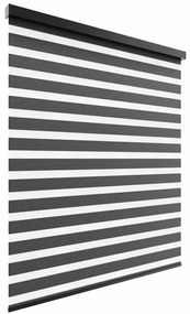 ZEBRA-SHOP ROLETA DEN A NOC MAXI / PREMIUM / GRAFIT / BH 28 Výška: 200, Šířka: 145, Barva kazety / umíst.řetízku: černá / vpravo