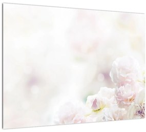 Obraz něžných květů (70x50 cm)