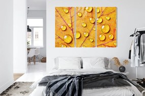 Vícedílný obraz Kapky Vody Na Podzimní Listí Makro Nedostatek Nedostatek Plátno Canvas 60x40