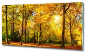 Wallmuralia Foto obraz sklo tvrzené Podzimní les 100x50