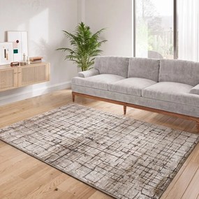 Šedobéžový koberec 80x120 cm Ceres – Universal
