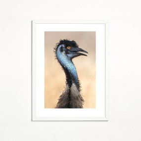 Jakub Hodáň | Emu hnědý Rám: Černý, Velikost: 30 x 20 cm