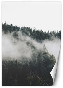 Gario Fototapeta Les a mlha v horách Materiál: Vliesová, Rozměry: 100 x 140 cm