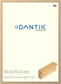 DANTIK rámeček 50x70 | KASSETTE přírodní (BPU) (Plexi Čiré)