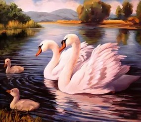 NORIMPEX Malování podle čísel Labutě (1005530) / 40x50 cm