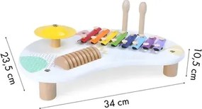ECOTOYS Sada hudebních nástrojů / Xylofon, řehtačka, činel, paličky /