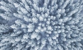 Vícedílný obraz Letecký Pohled Na Zimní Les Nedostatek Nedostatek Plátno Canvas 250x150