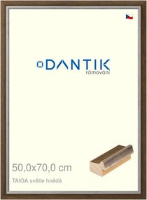 DANTIK rámeček 50x70 | TAIGA sv.hnědá (Plexi Čiré)