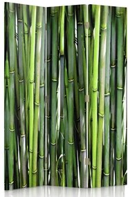 Ozdobný paraván, Bambus - 110x170 cm, třídílný, klasický paraván