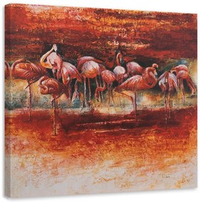 Obraz na plátně Plameňáci růžoví ptáci - 40x40 cm