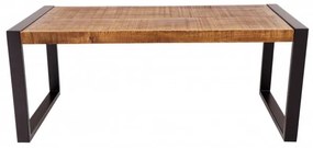 Indický nábytek - Konferenční stolek Retro 110x45x60 z indického masivu mango Retro
