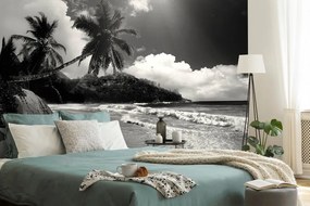 Tapeta palma na pláži černobílá - 300x200 cm