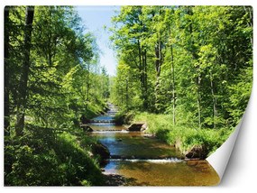 Gario Fototapeta Řeka v zeleném lese Materiál: Vliesová, Rozměry: 200 x 140 cm