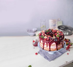 Forma na dorty a koláče La Forme Plus s dvojitým dnem 28 cm