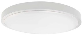 LED Koupelnové stropní svítidlo LED/24W/230V IP44 4000K pr. 29 cm bílá
