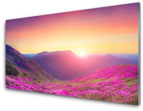 Obraz na skle Slunce Hory Louka Příroda 120x60 cm