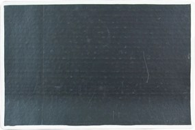 Černá rohožka s květy a ovocem Liliana - 75*50*1cm