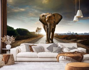 Gario Fototapeta Putování slona Materiál: Vliesová, Rozměry: 200 x 140 cm