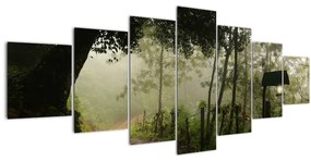 Obraz ranní mlhy (210x100 cm)