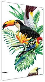 Wallmuralia Vertikální Foto obraz skleněný svislý Tropičtí ptáci 50x100