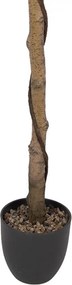 Dekorační stromek růže na kmínku s bílými květy - 32*32*120 cm