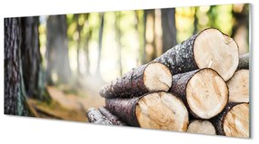 akrylový obraz Dříví prales přírodě 120x60 cm