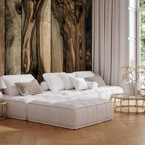 Fototapeta Olivový strom - jednotné pozadí v dekoru tmavých dřevěných prken