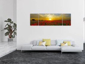 Obraz pole vlčích máků (170x50 cm)