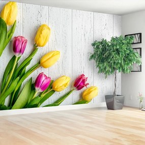 Fototapeta žluté tulipány 104x70