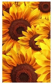 DIMEX | Vliesová fototapeta na zeď Lán slunečnic MS-2-0129  | 150 x 250 cm | žlutá, hnědá