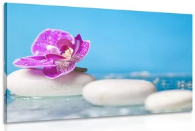 Obraz orchidej a Zen kameny Varianta: 60x40