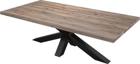 XXXLutz ZAHRADNÍ STŮL, dřevo, 200/100/76 cm Ambia Garden - Online Only zahradní nábytek - 002331001201