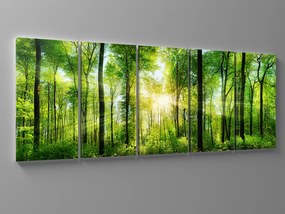 Liox Obraz prosluněný zelený les Rozměr: 200 x 80 cm