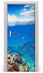 Fototapeta na dveře korálový útes 75x205 cm
