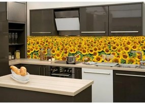 DIMEX | Fototapeta do kuchyně Lány slunečnic KI-260-030 | 260 x 60 cm | zelená, žlutá, hnědá