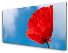 akrylový obraz Tulipán 140x70 cm