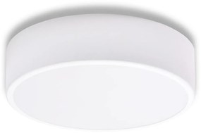Temar | Koupelnové stropní svítidlo CLEO 2xE27/24W/230V pr. 30 cm bílá IP54 | TM0030