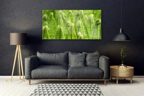 akrylový obraz Rostlina Příroda 120x60 cm
