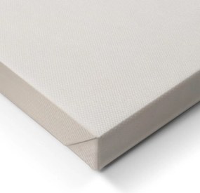 Tištěný obraz na plátně 60x60 cm Porcelain Vase – Styler