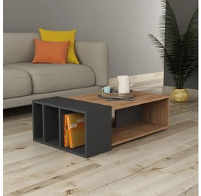 Asir | Konferenční stolek ANITA 32x102 cm hnědá/antracit | AS1052