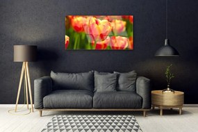 Obraz na skle Tulipány Květiny Rostlina 120x60 cm