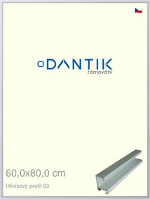 DANTIK rámeček 60x80 | ALU profil 7003 Stříbrná matná (Plexi Čiré)