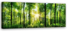 Obraz na plátně Krajina Les Zelená příroda - 90x30 cm