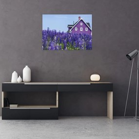 Skleněný obraz levandulového pole (70x50 cm)