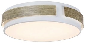 Rabalux 5646 - LED Stmívatelné stropní svítidlo SALMA LED/24W/230V