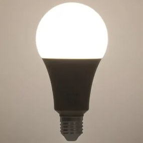 RETLUX RLL 663 A80 E27 bulb 20W / 2700 lm / 4000K - studená bílá / D