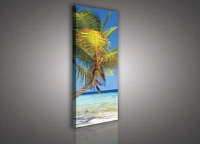 Postershop Obraz na plátně: Pláž s palmou - 45x145 cm